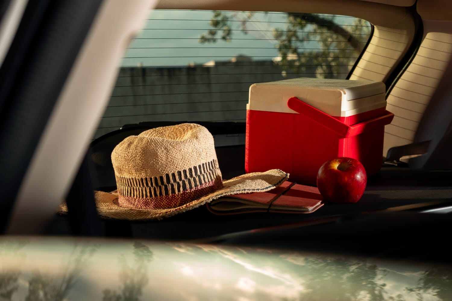 Best Cooler Items for Texas Drives – Stay Full & Fresh