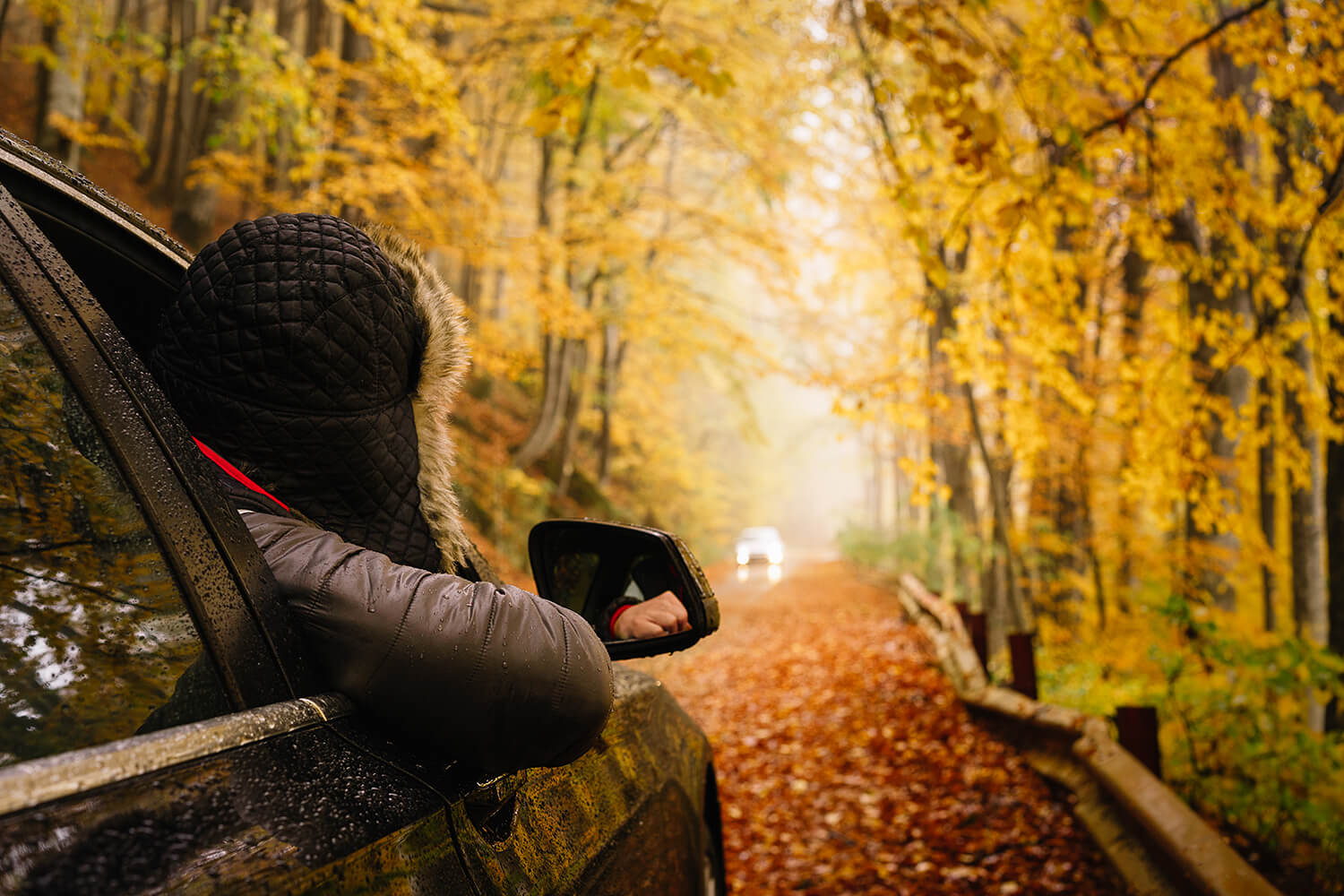 Fall Road Trips Near Fort Worth – Best Foliage Spots